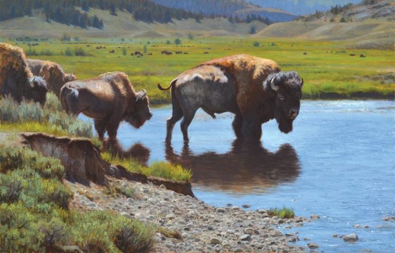 Realistic Paintings of North America’s Wildlife - Fine Art Connoisseur