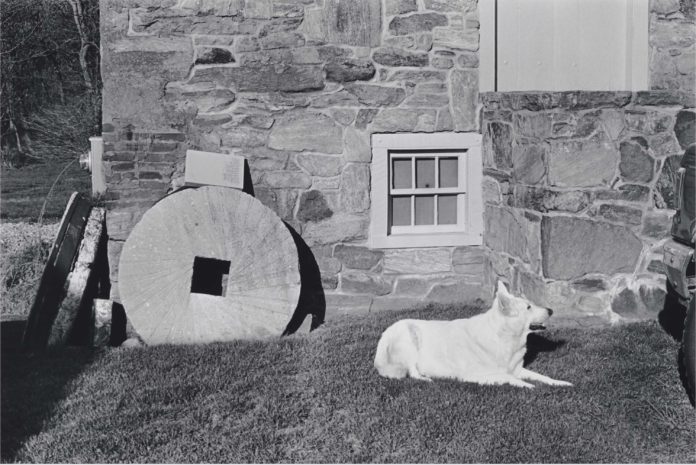 Francis Di Fronzo and Victoria Browning Wyeth (Yes, Wyeth) - Fine Art ...