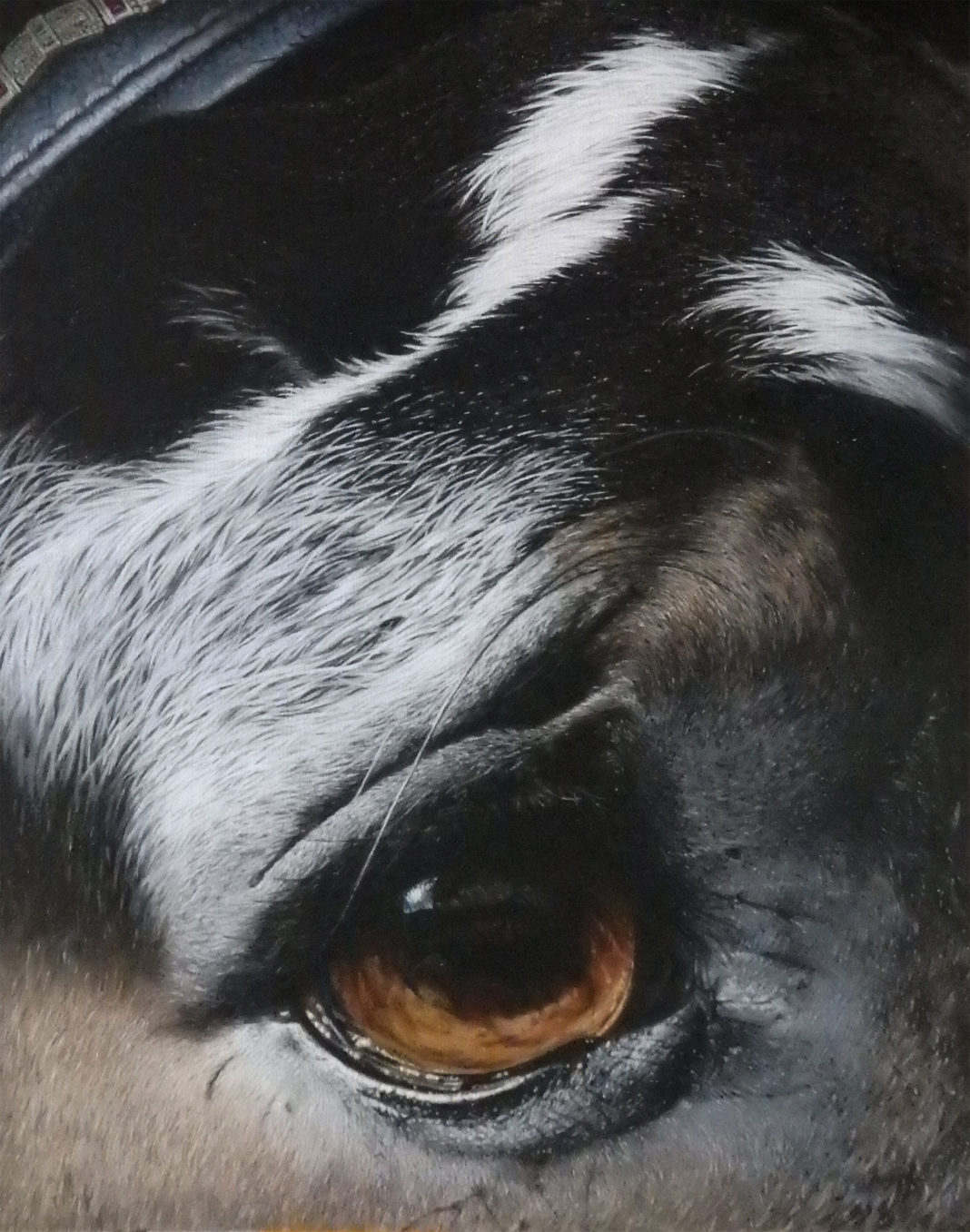 11 Paintings That Prove Animal Art is Thriving - Fine Art Connoisseur