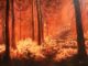Our Planet: Exploring Our Changing Environment - Fine Art Connoisseur