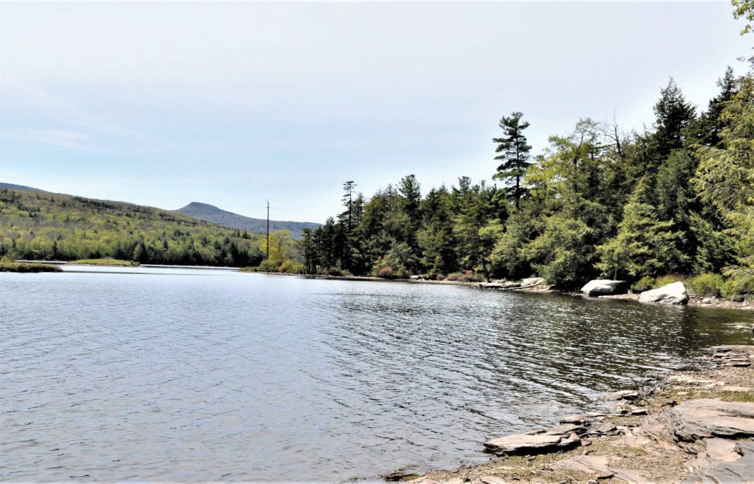 On the Art of Thomas Cole and Redefining the "Sublime" - Fine Art ...