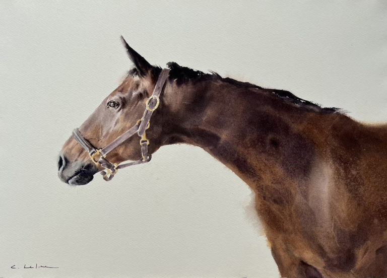 Winners Chosen for NWWS 82nd International Open Exhibition - Fine Art ...
